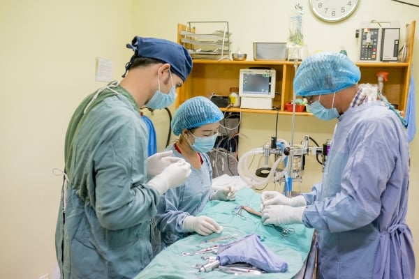 Short Term Missions - Christian Veterinary Mission