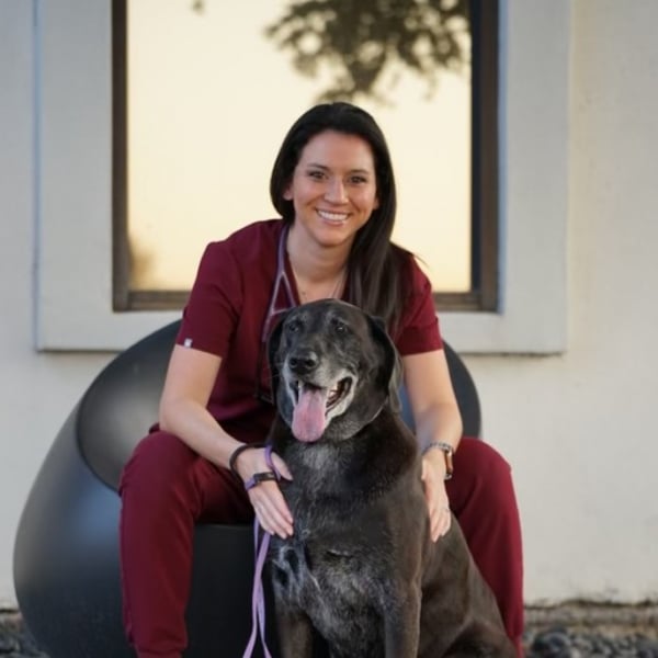 Real Life Real Impact South Central - Christian Veterinary Mission