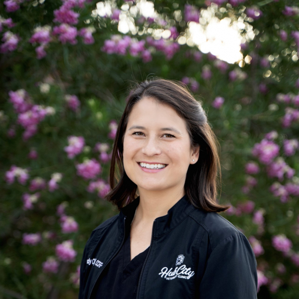 Dr. Cindy Cloud - Christian Veterinary Mission