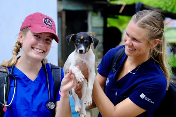 Short Term Missions - Christian Veterinary Mission