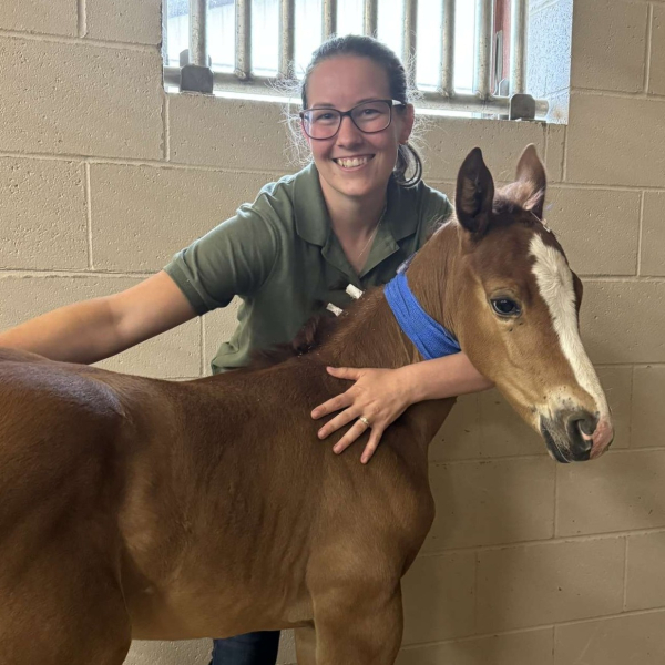 Dr. Emily Massie - Christian Veterinary Mission