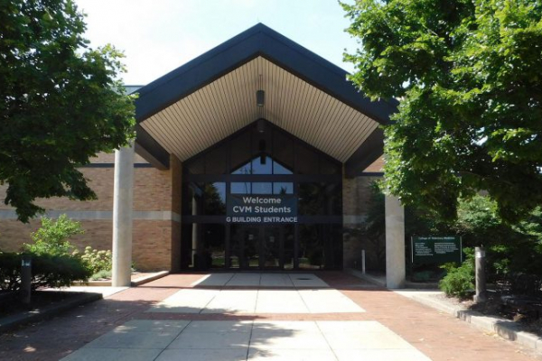 Real Life Real Impact - Christian Veterinary Mission