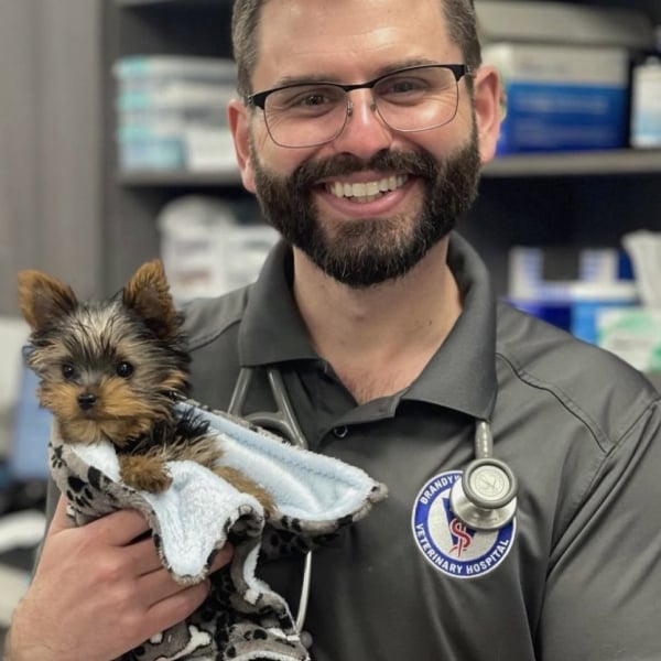 Dr. Robert Cafaro - Christian Veterinary Mission