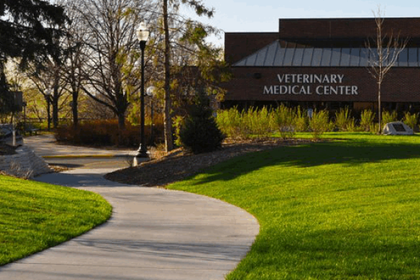 Real Life Real Impact - Christian Veterinary Mission